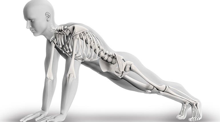 Functions of Various Parts of the Human Body, Effects of Exercise on ...